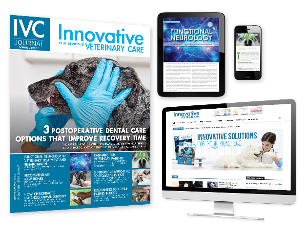 IVC Journal | Redstone Media Group